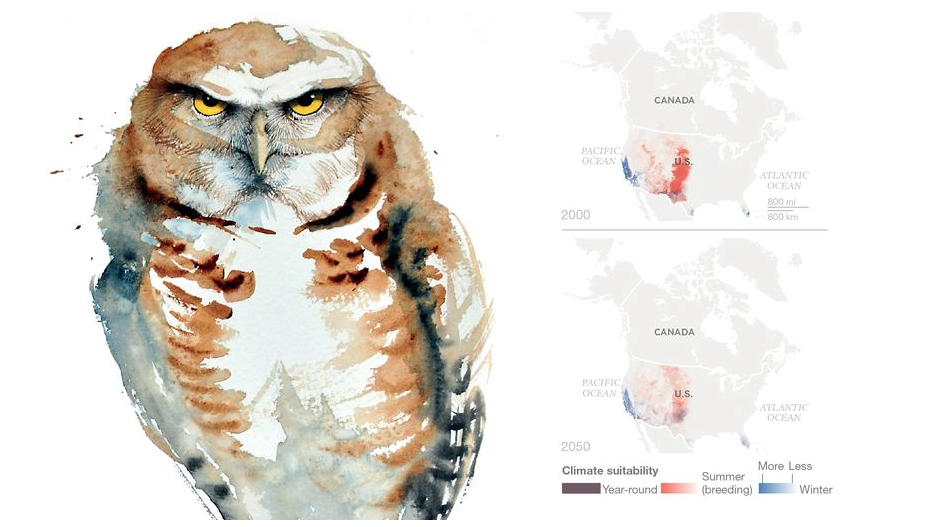 Our Data, Your Visualizations | The Audubon Birds & Climate Change Report