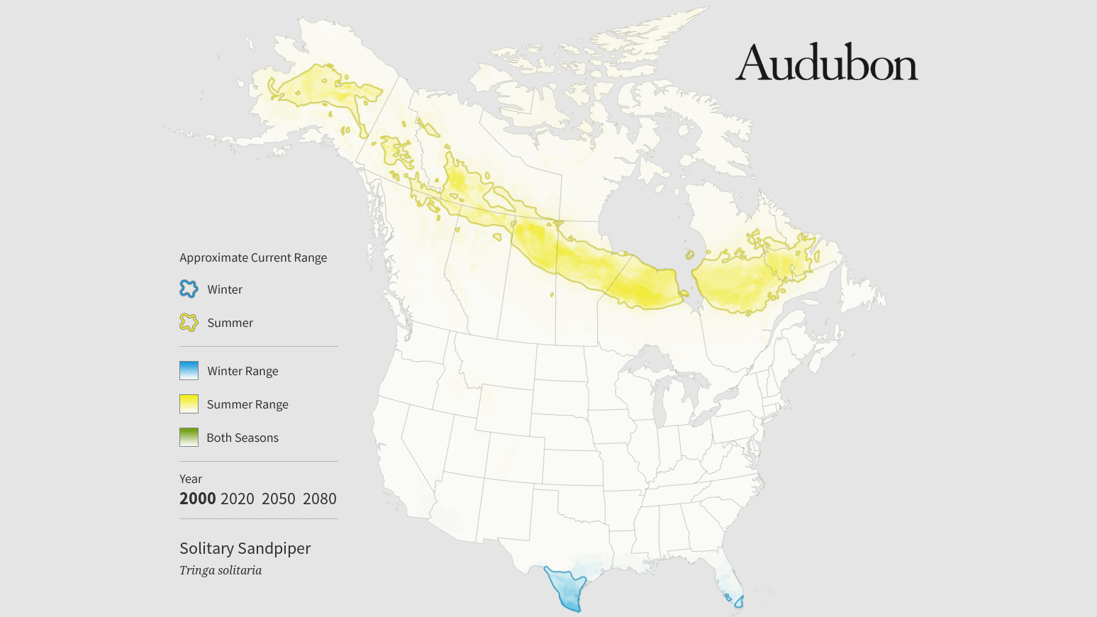 Changing Ranges: Why Bigger Isn’t Always Better | The Audubon Birds ...